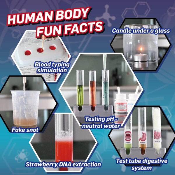 Medical Science – STEM Kit for Ages 8+ – Make a Test-Tube Digestive ...
