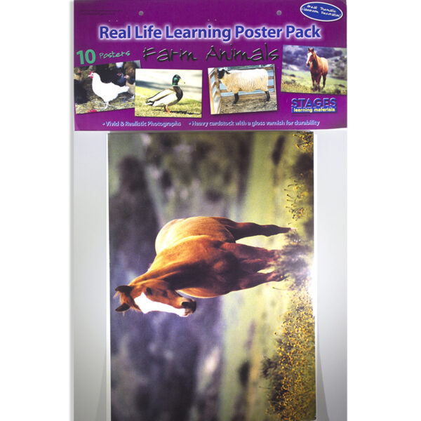 Farm Animal Real Life Learning Poster Set, Set of 10 – Sharper ...