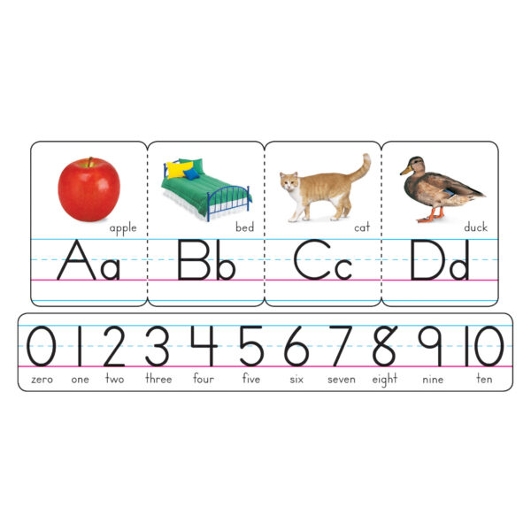 Photo Alphabet Cards Zaner-Bloser Manuscript Bulletin Board Set ...